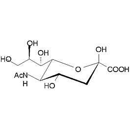 Sialic Acid (N-Acetylneuraminic Acid), 98%, 5 gm. | 131-48-6